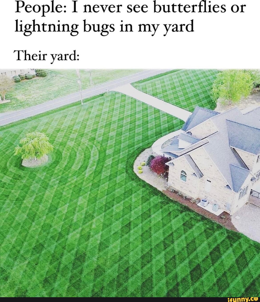 Lightning memes. Best Collection of funny Lightning pictures on iFunny
