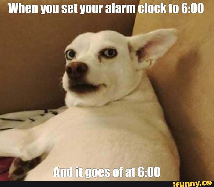Alarm_clock memes. Best Collection of funny Alarm_clock pictures on iFunny