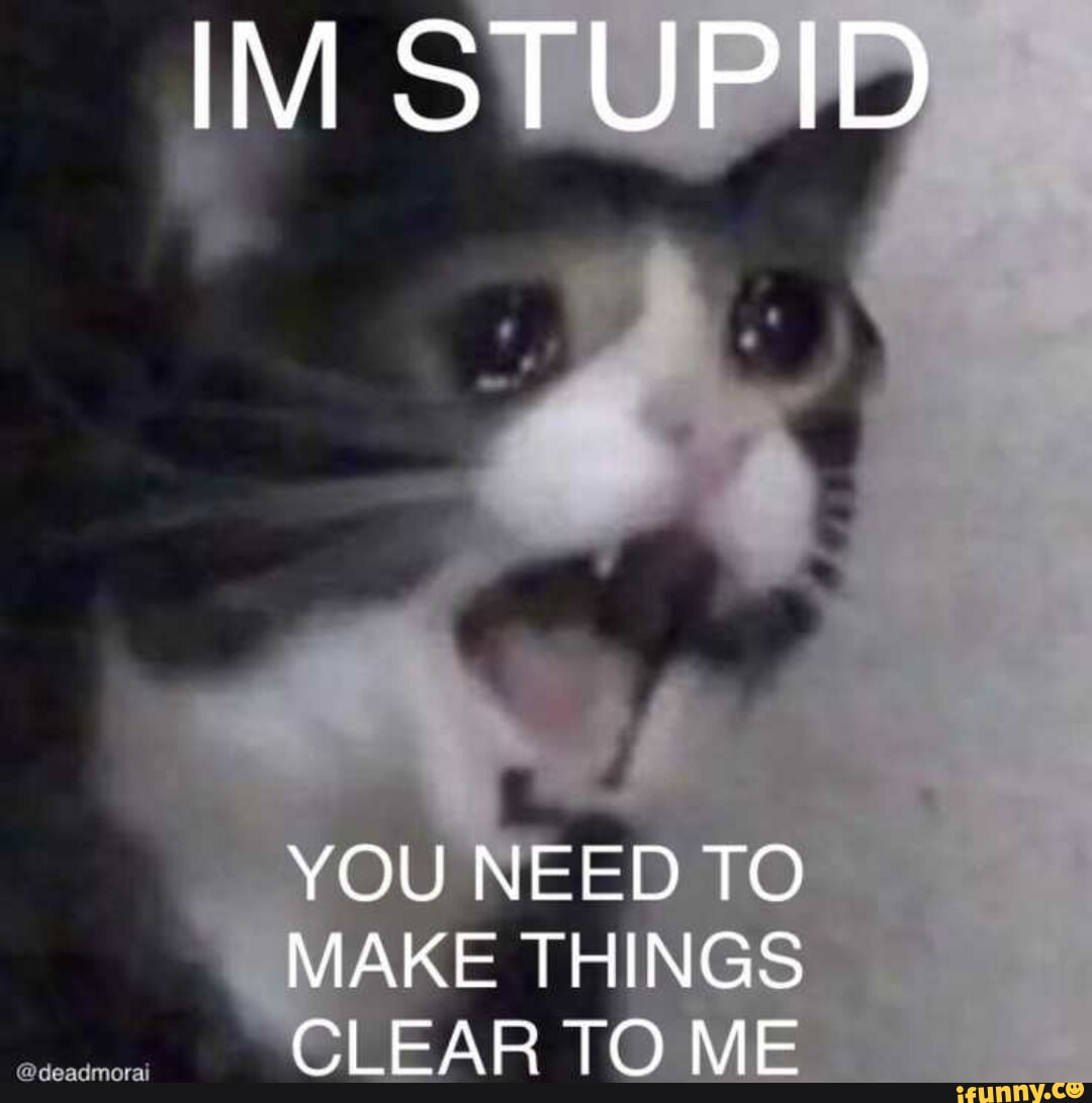 IM STUPID YOU NEED TO MAKE THINGS CLEAR TO ME - iFunny