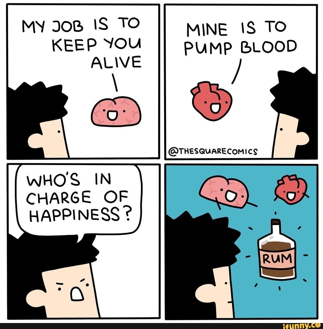 Video memes 5NsvqdjG8 by SSnipes: 0.6K comments - )