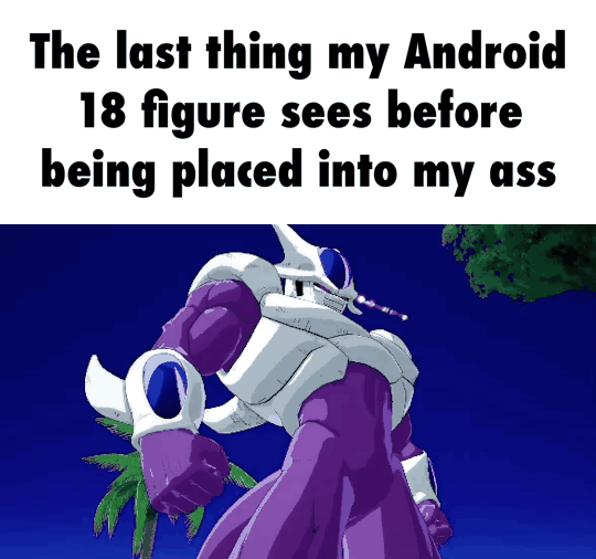 The last thing my Android 18 figure sees before being placed into my ...