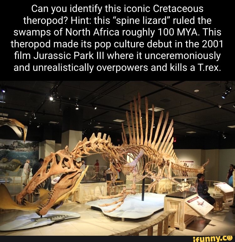 Can you identify this iconic Cretaceous theropod? Hint: this "spine ...