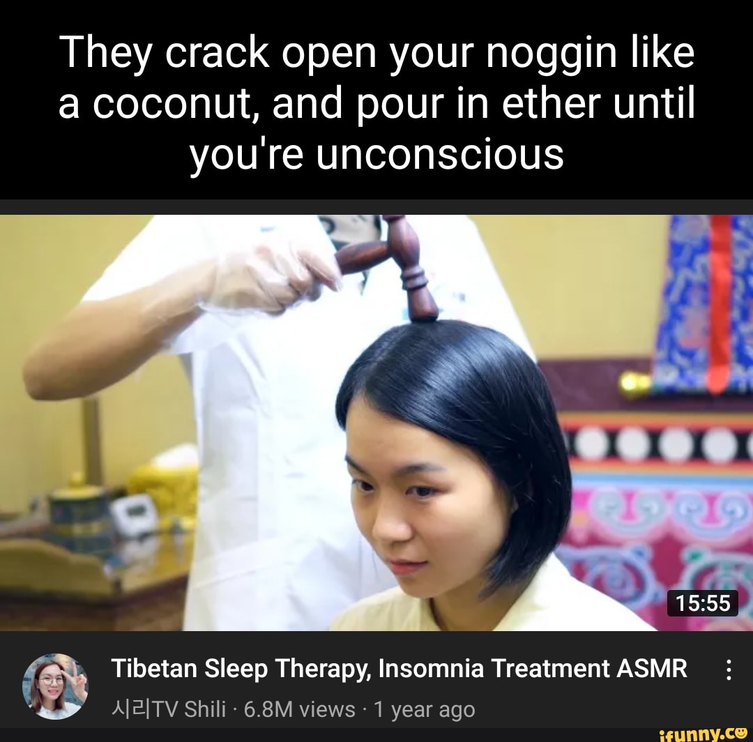 Noggin memes. Best Collection of funny Noggin pictures on iFunny