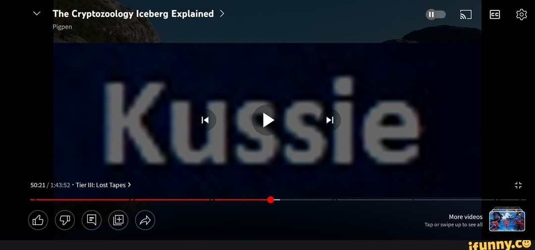 Kussy memes. Best Collection of funny Kussy pictures on iFunny