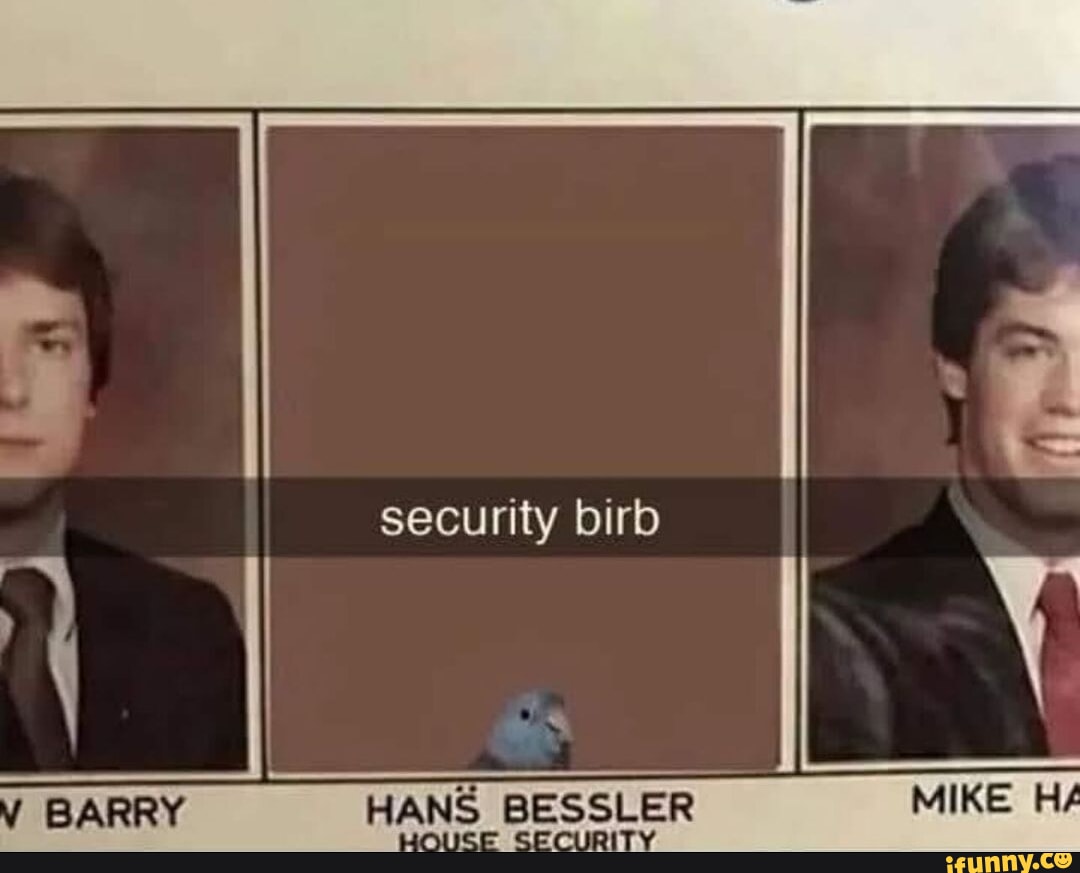 BARRY HANS BESSLER MIKE I security biro - iFunny