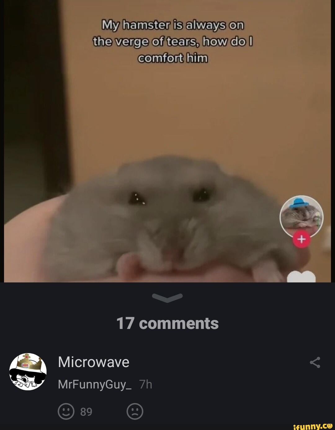 My hamster is elways em the of tears, do 17 comments Microwave ...