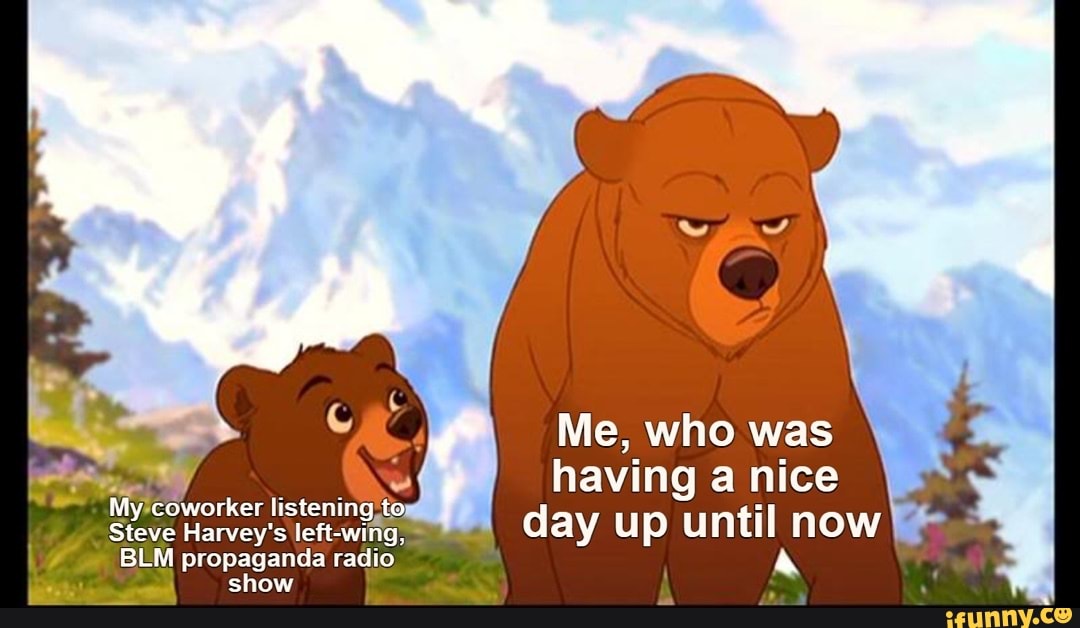 Brotherbear memes. Best Collection of funny Brotherbear pictures on iFunny