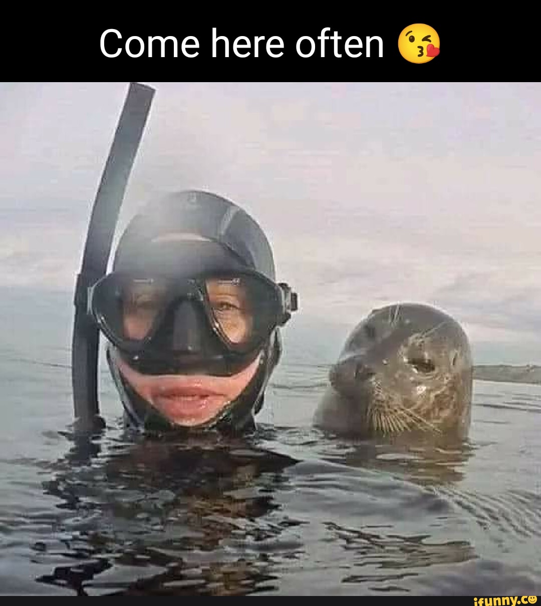 Sea memes. Best Collection of funny Sea pictures on iFunny