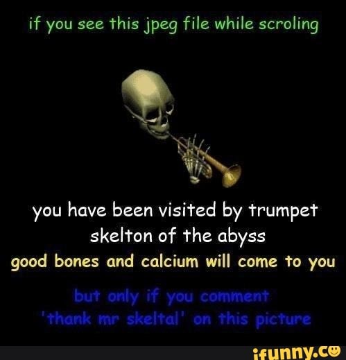 Skelton memes. Best Collection of funny Skelton pictures on iFunny