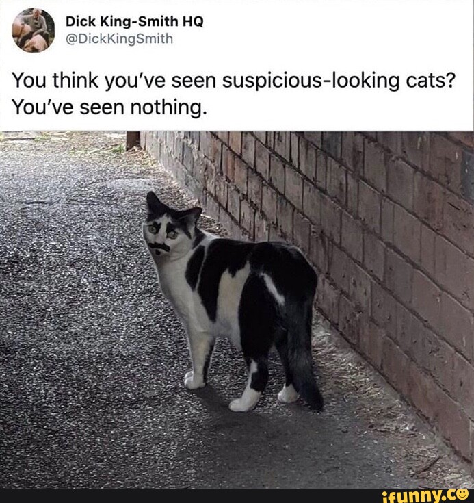 Video memes mKS6n55w6 by bravado: 1 comment - iFunny