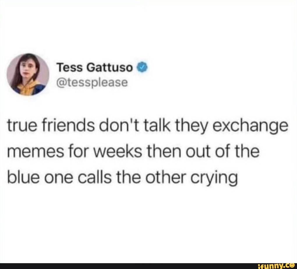 Tass Gattuso true friends don't talk they exchange memes for weeks then ...