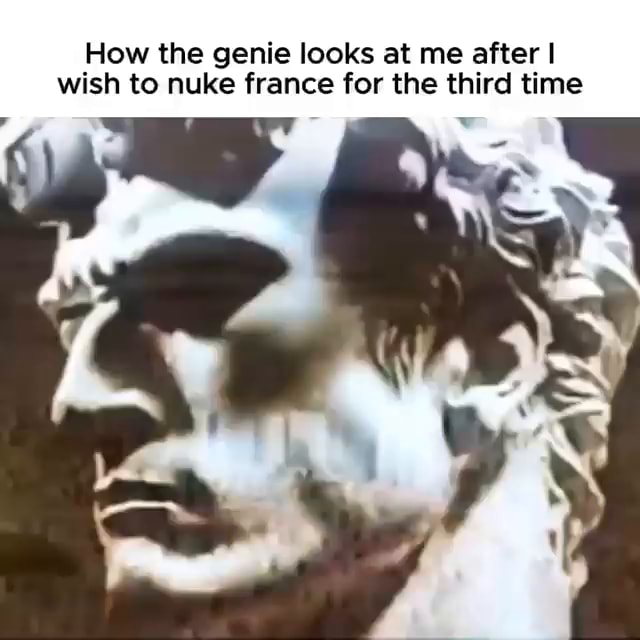 Genie Gesicht Meme The Genies Face Meme | TikTok