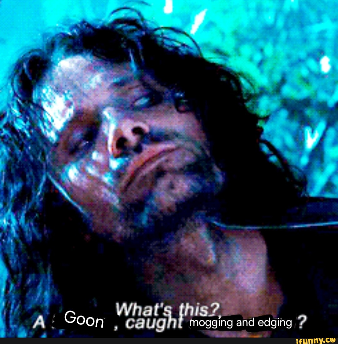 Mogging memes. Best Collection of funny Mogging pictures on iFunny