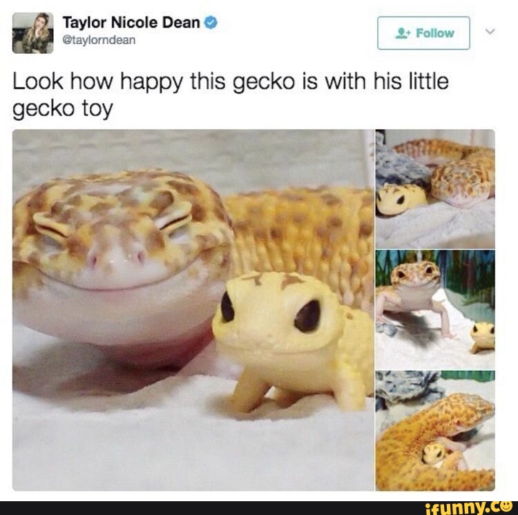 iFunny - the best memes, video, gifs and funny pics in one place