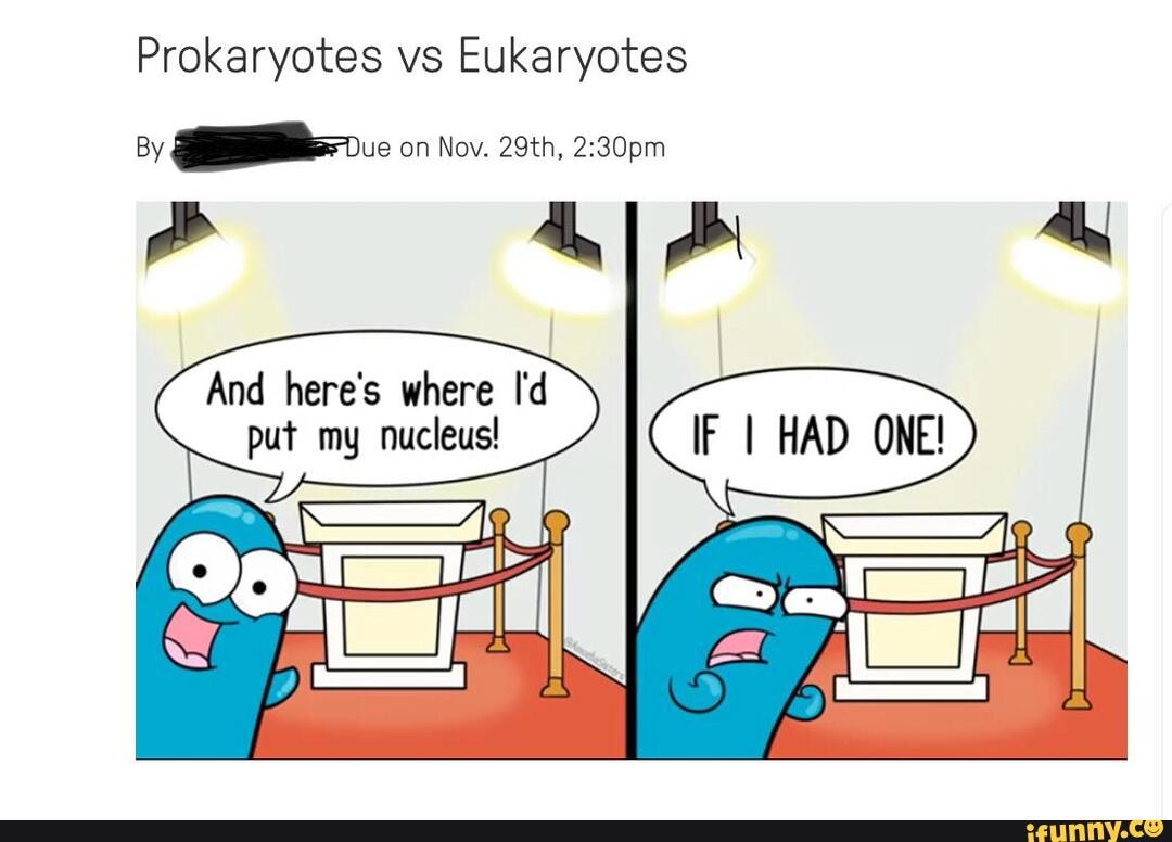 Prokaryotes vs Eukaryotes on Nov. 29th, And here's where I'd put my ...