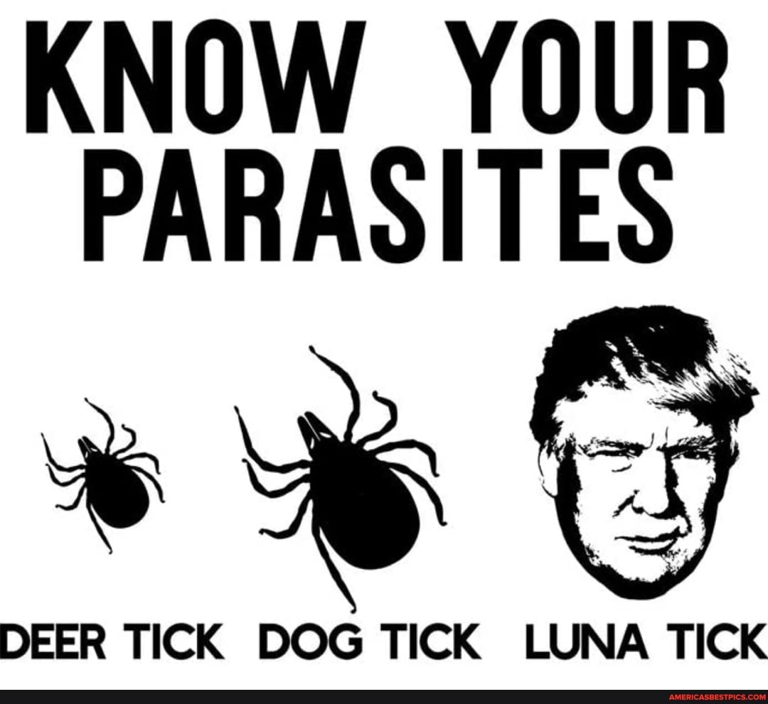KNOW YOUR PARASITES DEER TICK DOG TICK LUNA TICK - America’s best pics ...