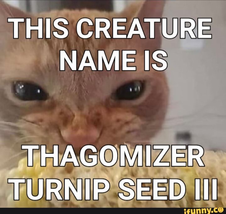 Thagomizer memes. Best Collection of funny Thagomizer pictures on iFunny