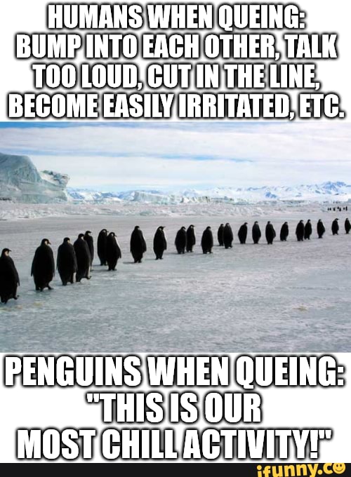 Pengui memes. Best Collection of funny Pengui pictures on iFunny