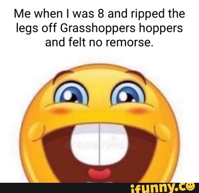 Hoppers memes. Best Collection of funny Hoppers pictures on iFunny
