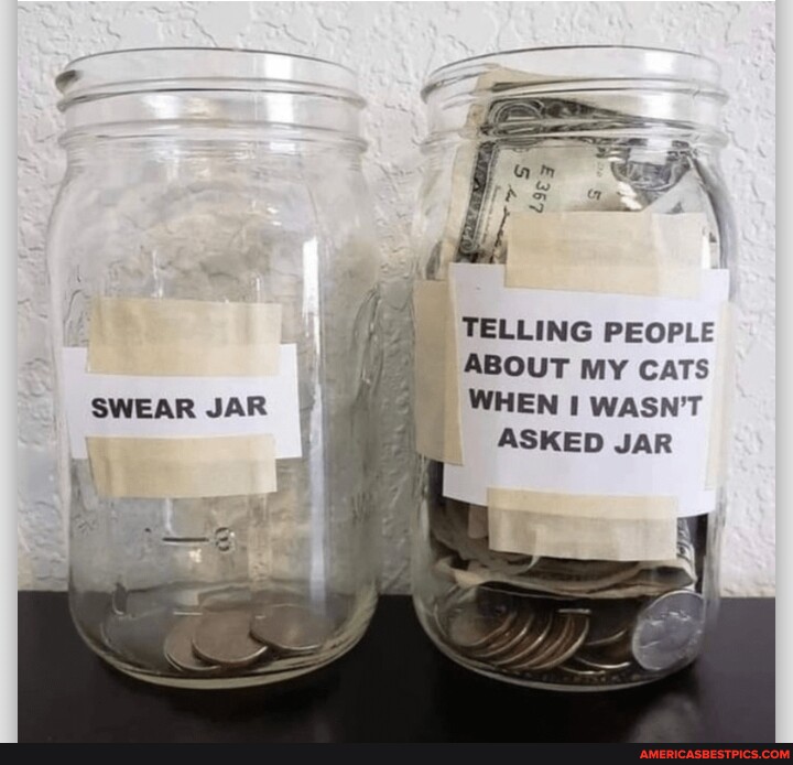 SWEAR JAR aa TELLING PEOPLE ABOUT MY CATS WHEN I WASN'T ASKED JAR I we ...