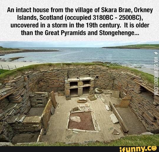 Skara memes. Best Collection of funny Skara pictures on iFunny