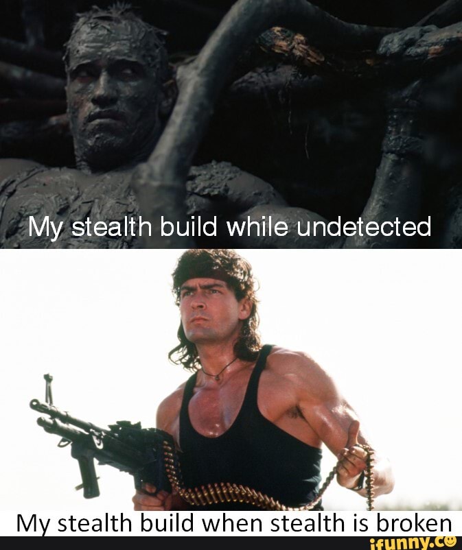 My stealth build while undetected RR Ann - iFunny