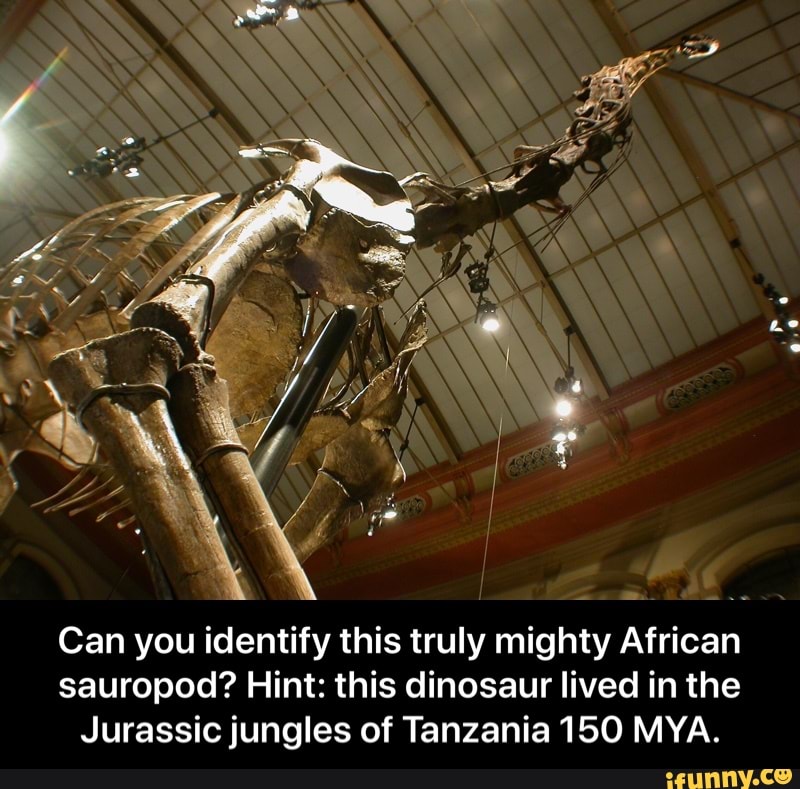 Can you identify this truly mighty African sauropod? Hint: this ...
