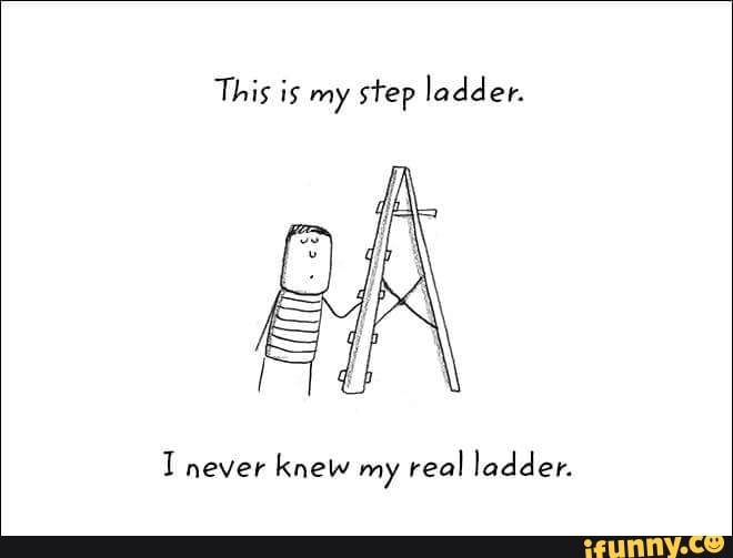 This is my step ladder. never knew my real ladder. - iFunny