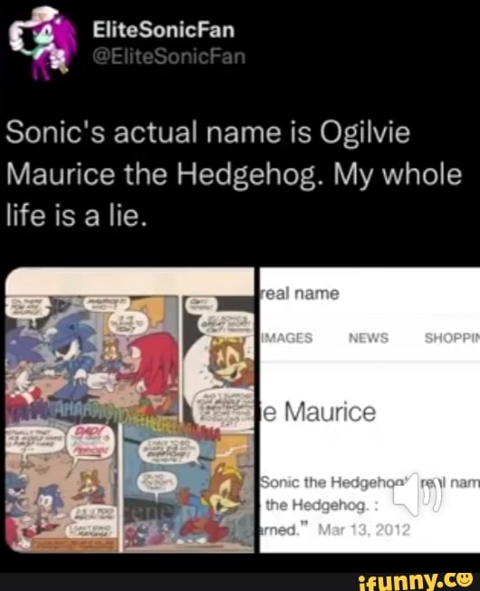 Sonic's actual name is Ogilvie Maurice the Hedgehog. My whole life is a ...