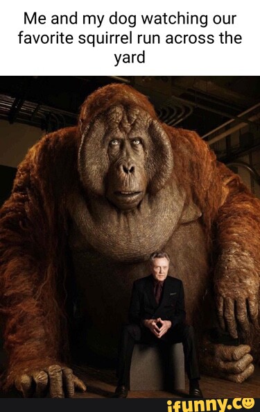 Me and my dog watching our favorite squirrel run across the yard - iFunny