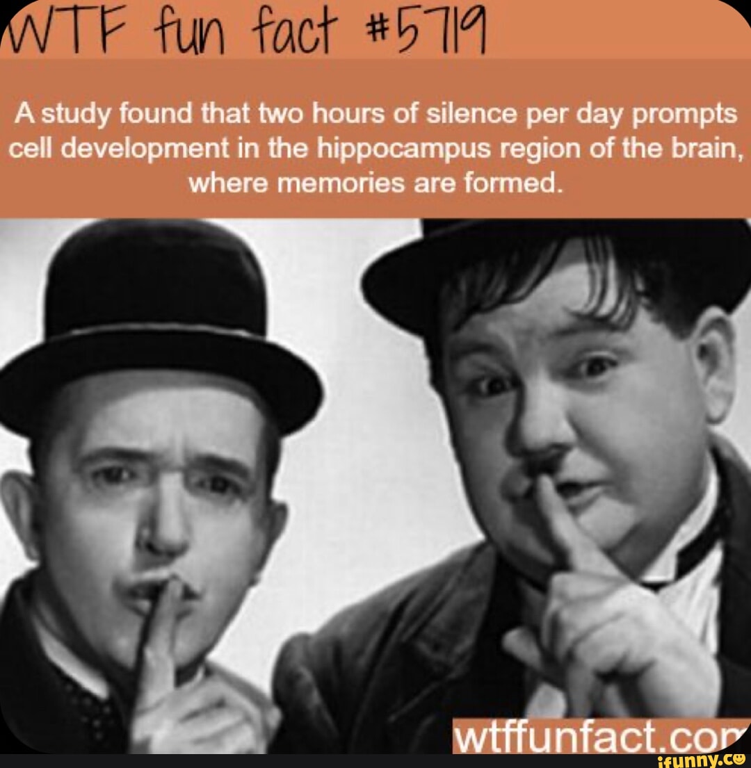 Hippocampus memes. Best Collection of funny Hippocampus pictures on iFunny