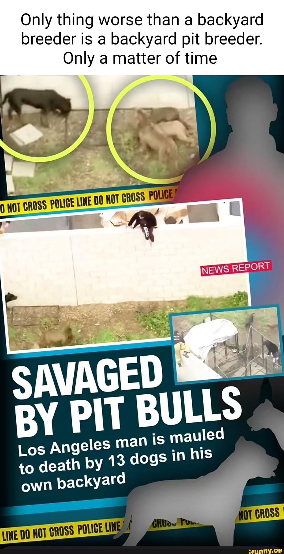 Breeder memes. Best Collection of funny Breeder pictures on iFunny