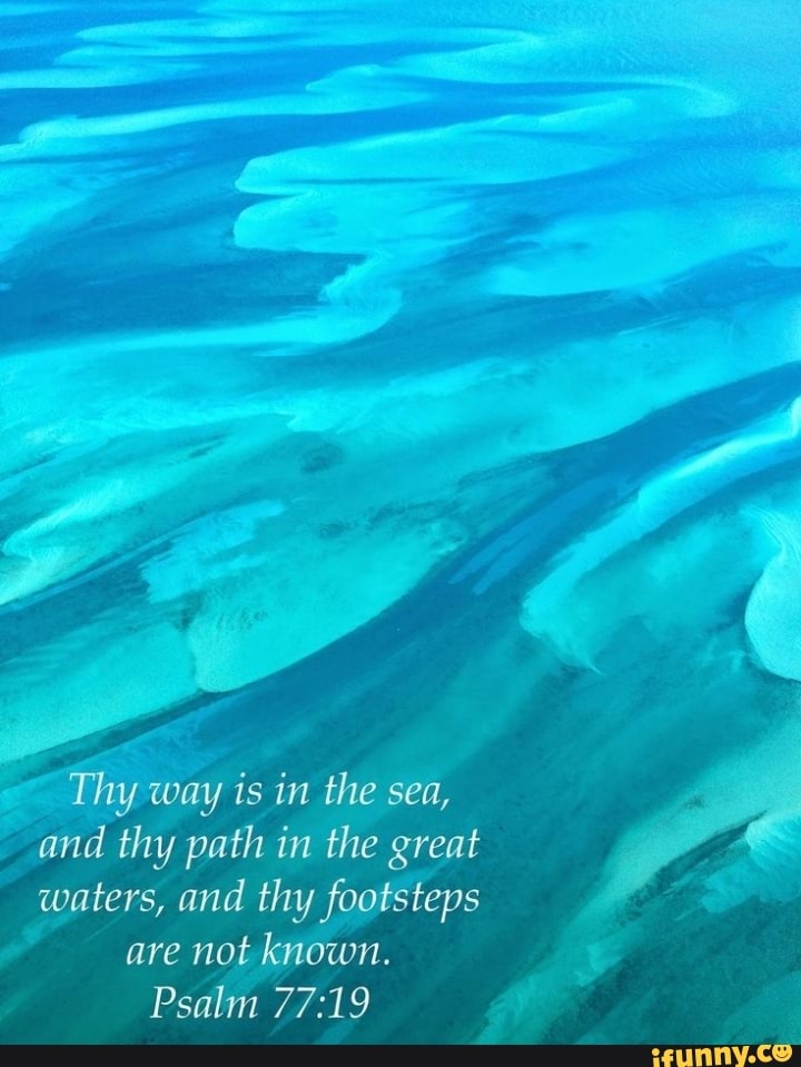 Thy way is in the sea, and thy path in the great waters, and thy ...