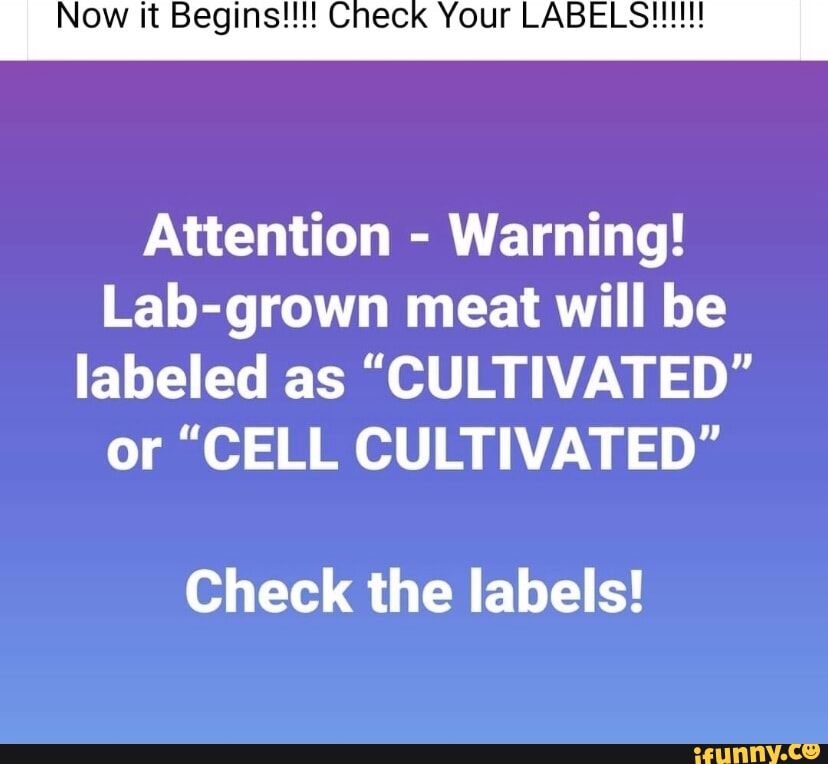 Now it Cneck Your LABELS Attention - Warning! Lab-grown meat will be ...