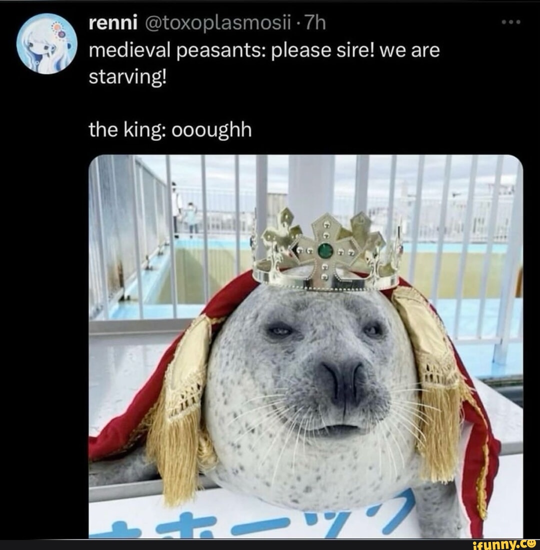 Sire memes. Best Collection of funny Sire pictures on iFunny