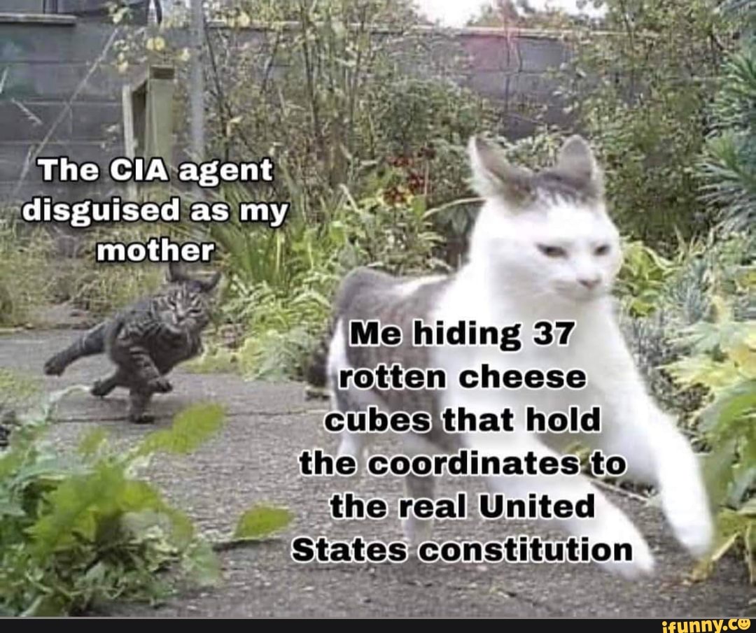 The CIA agent disguised as my mother hiding 37 cheese cubestthatanold ...