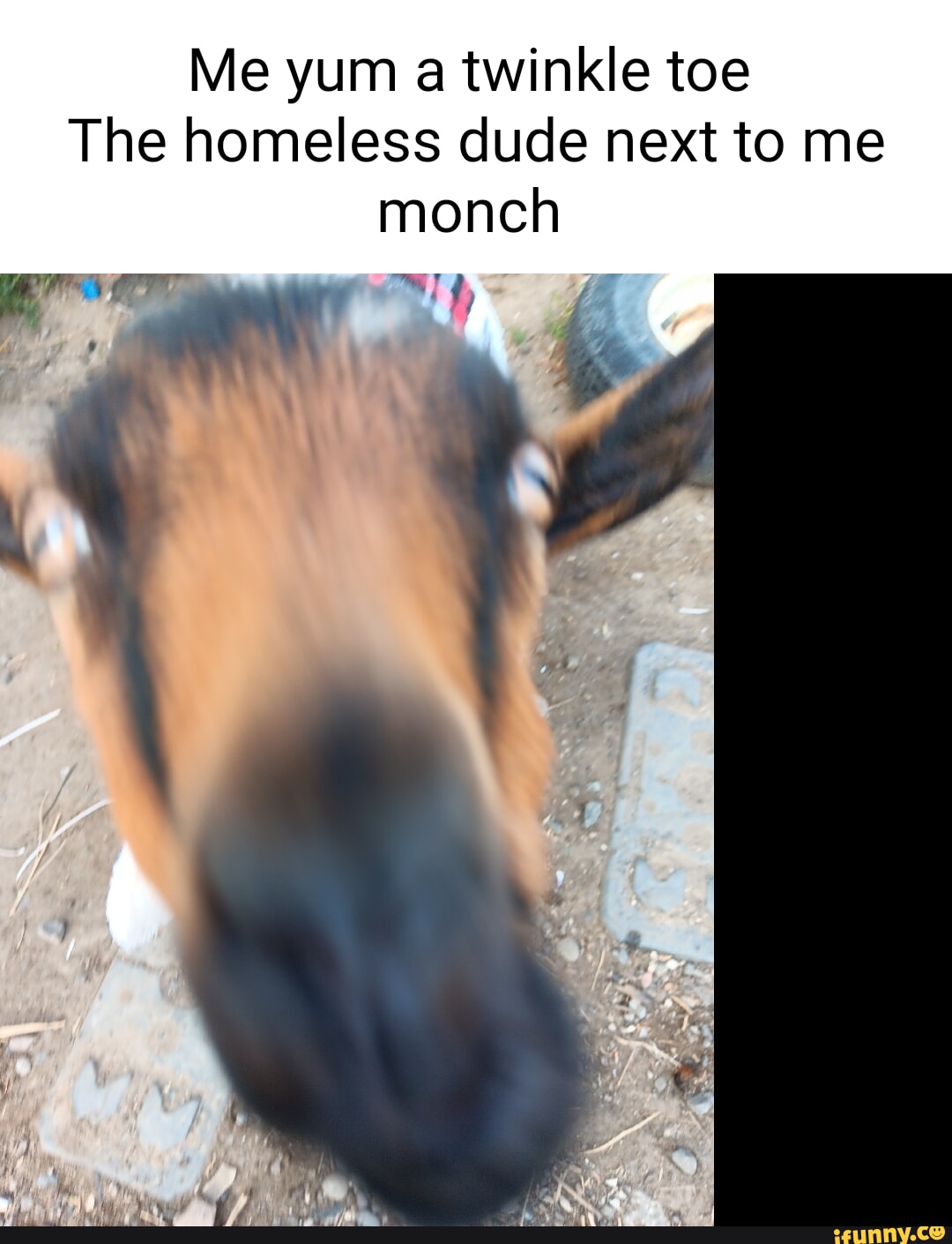 Monch memes. Best Collection of funny Monch pictures on iFunny
