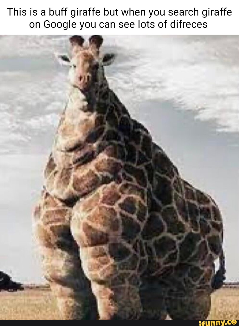 Difreces memes. Best Collection of funny Difreces pictures on iFunny