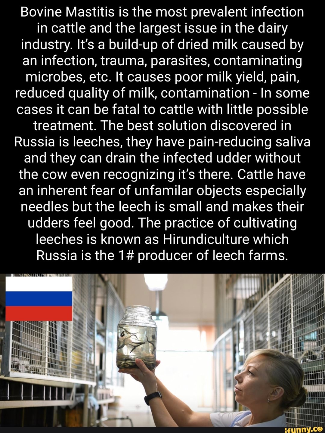 Bovine Mastitis is the most prevalent infection in cattle and the ...