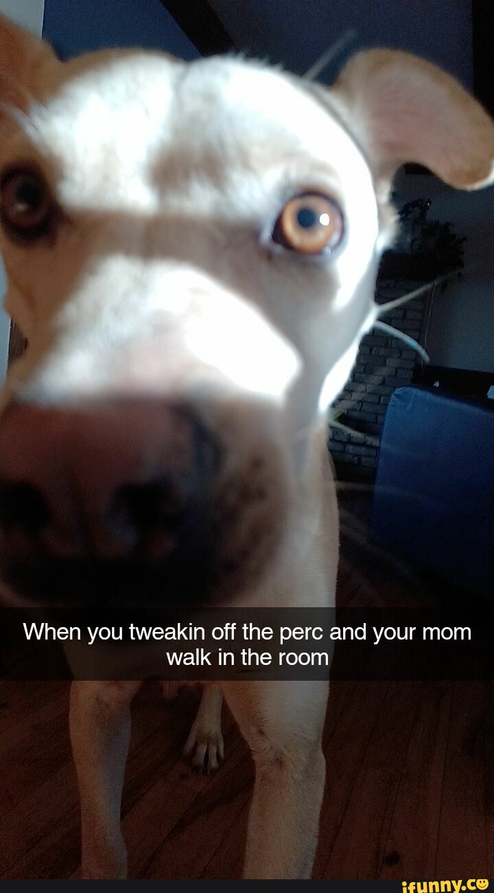 When you tweakin off the perc and your mom walk in the room - iFunny