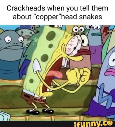 Crackheads when you tell them about "copperhead snakes - iFunny