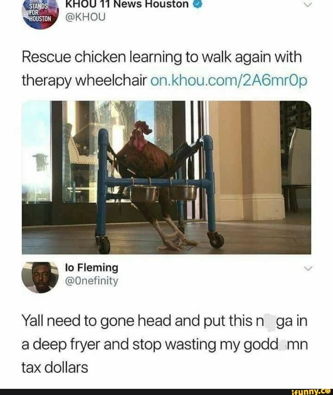 Rescue chicken learning to walk again with therapy wheelchair on.khou ...