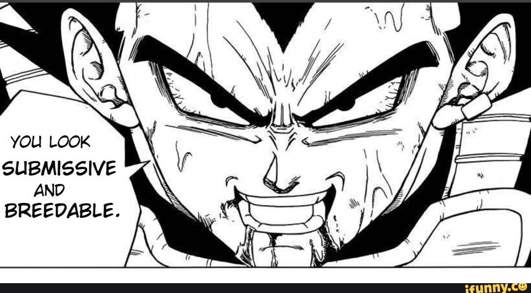 YOU LOOK SUBMISSIVE AND BREEDABLE. - iFunny