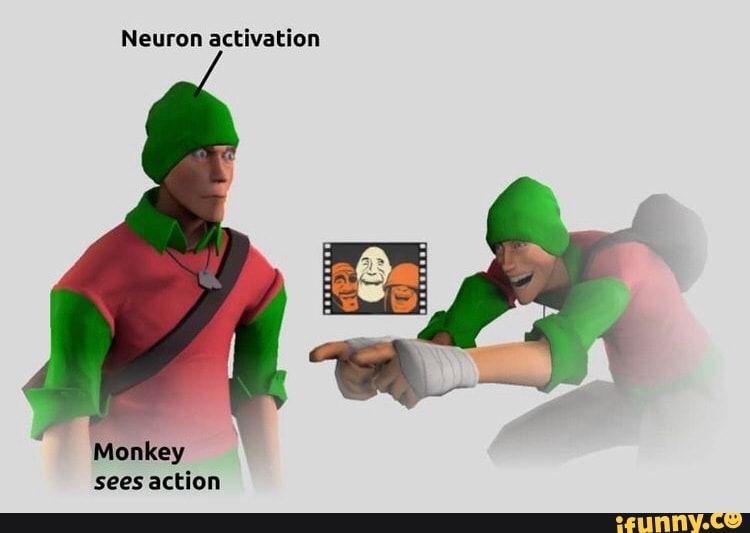 Neuron activation Monkey sees action - iFunny