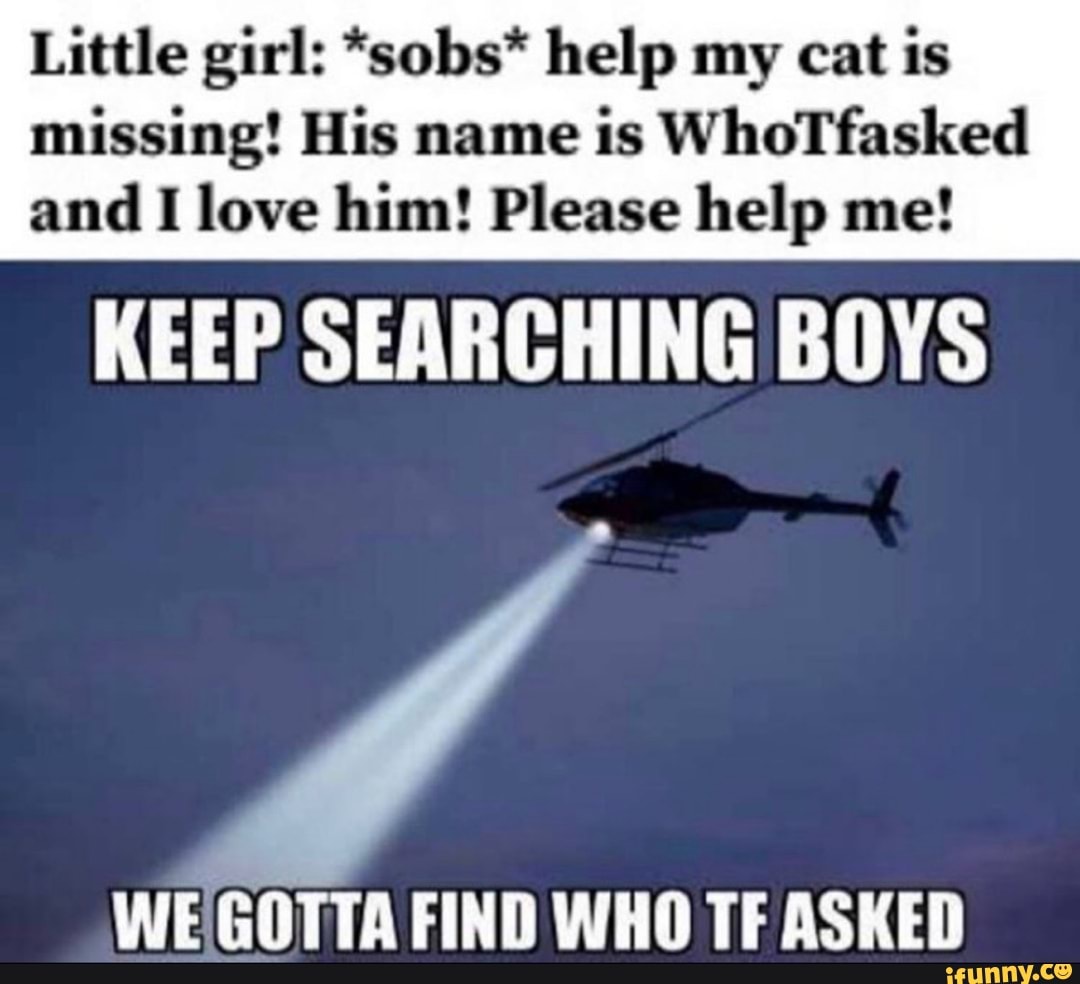 Little girl: *sobs* help my cat is missing! His name and I love him ...
