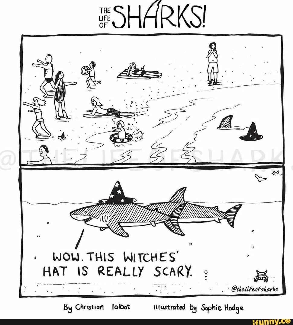 SHARKS WOW. THIS WITCHES' HAT IS REALLY SCARY. @thetifeof sharks By ...