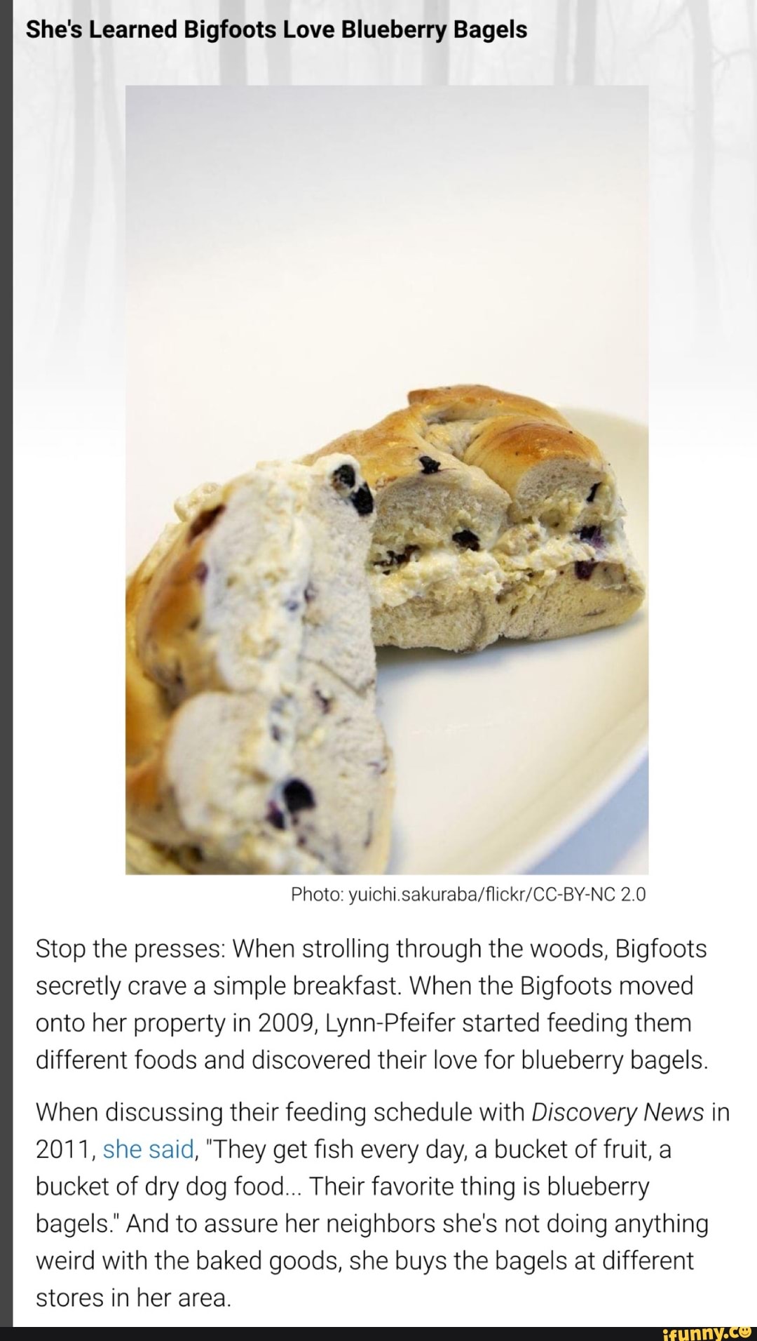 Pfeifer memes. Best Collection of funny Pfeifer pictures on iFunny