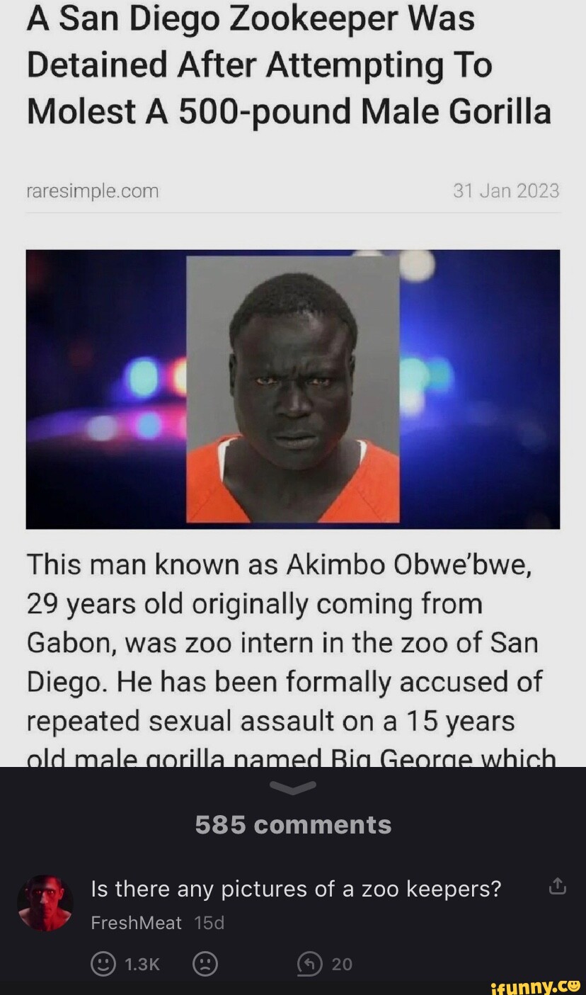 A San Diego Zookeeper Was Detained After Attempting To Molest A 500 ...
