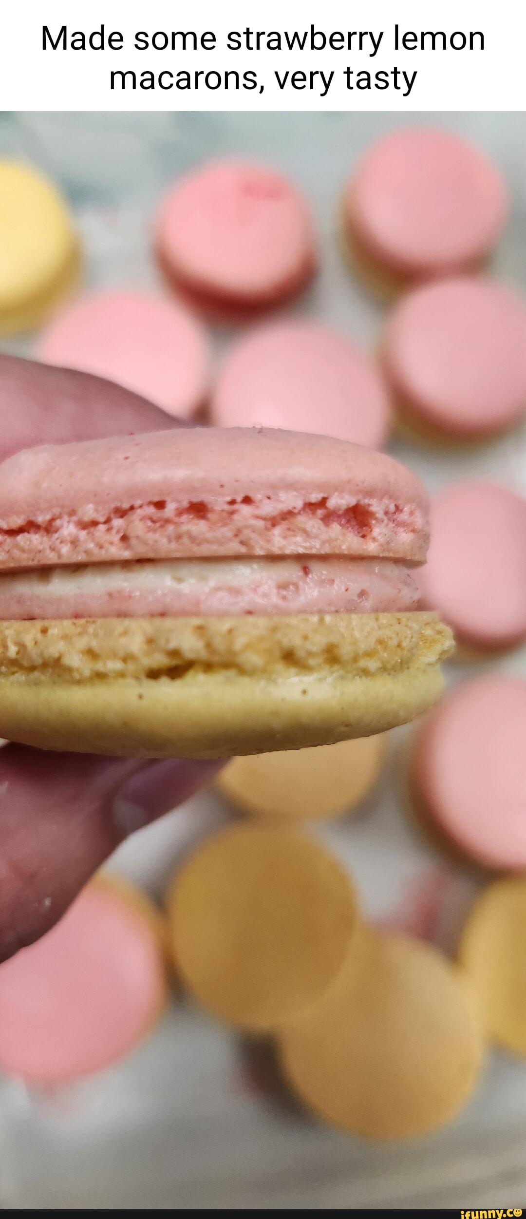Macarons Memes