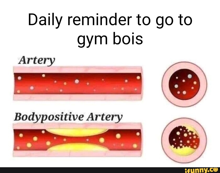 Daily reminder to go to gym lois Artery Bodypositive Artery - iFunny